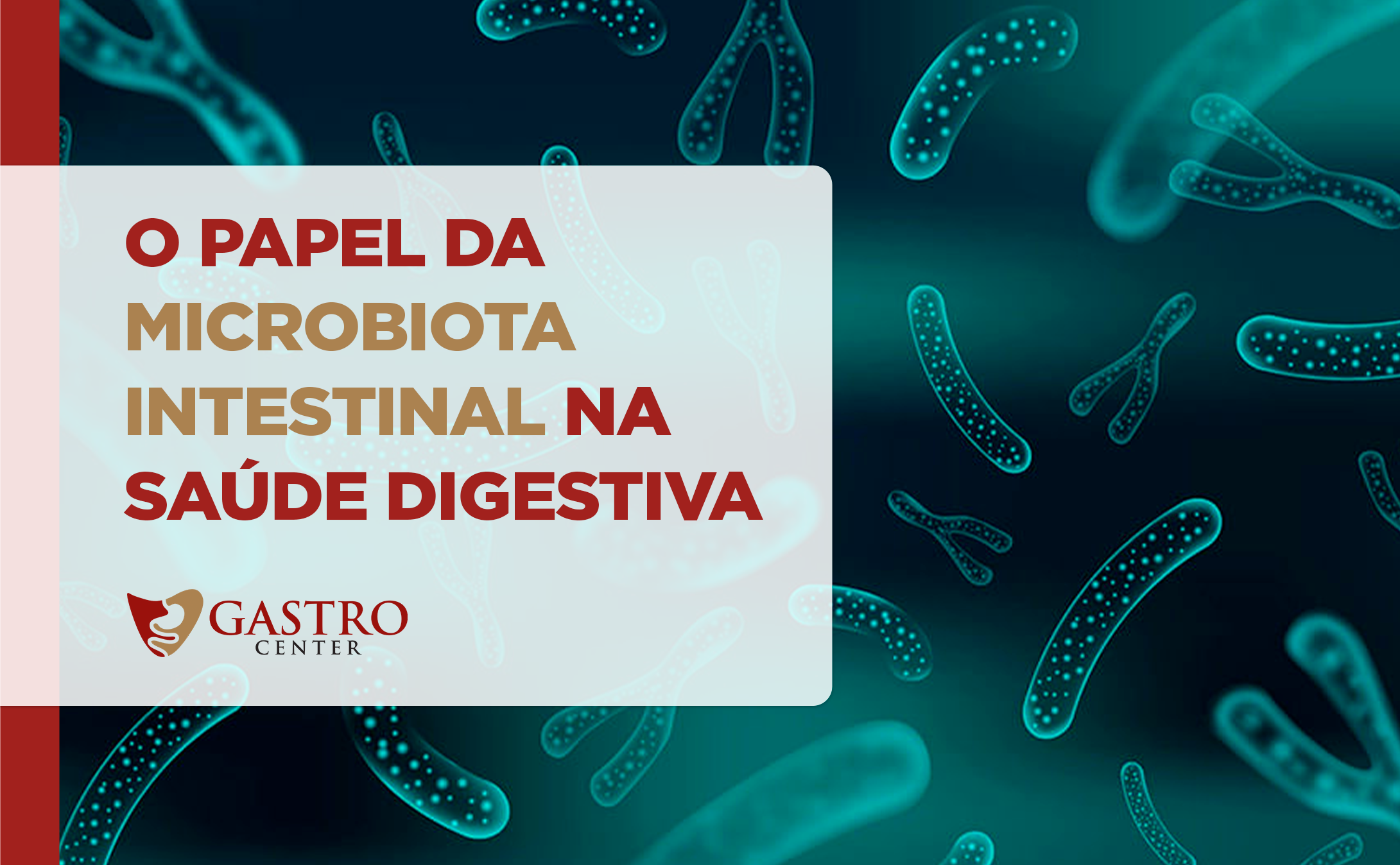 O Papel da Microbiota Intestinal na Saúde Digestiva - Gastrocenter ...